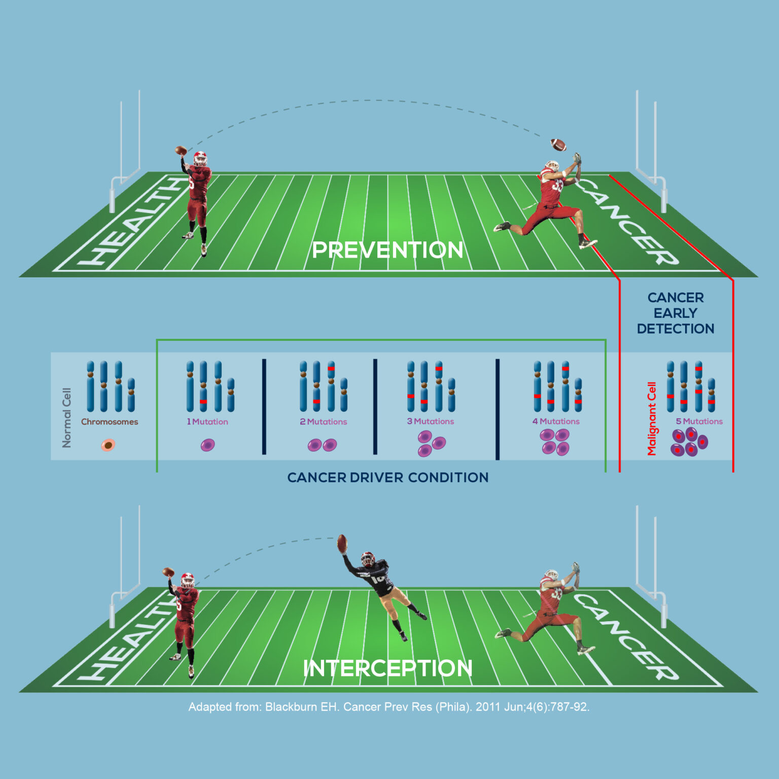Interception vs Prevention - Bioscience Foudation